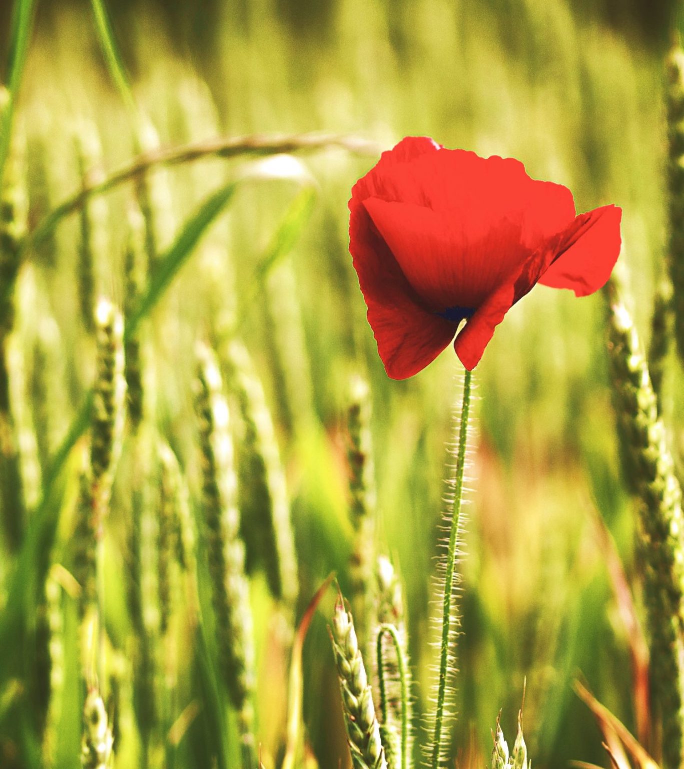 Economía Circular en la Construcción | GONSI Sedes Corporativas